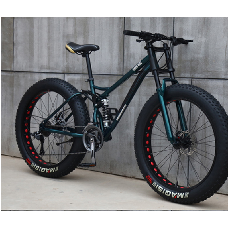 Fashion design popular beach fat bike
