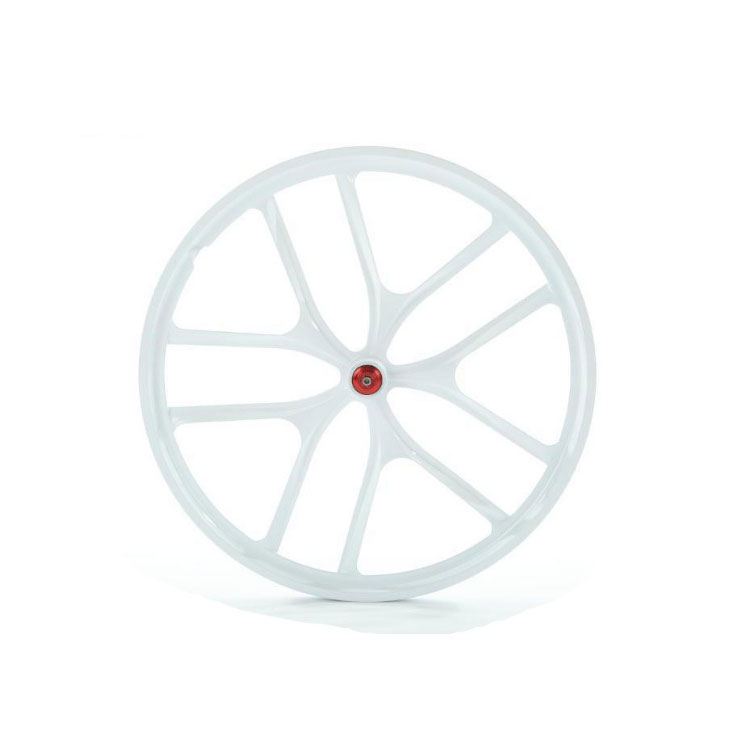 Hollow spokes integrated bicycle wheel
