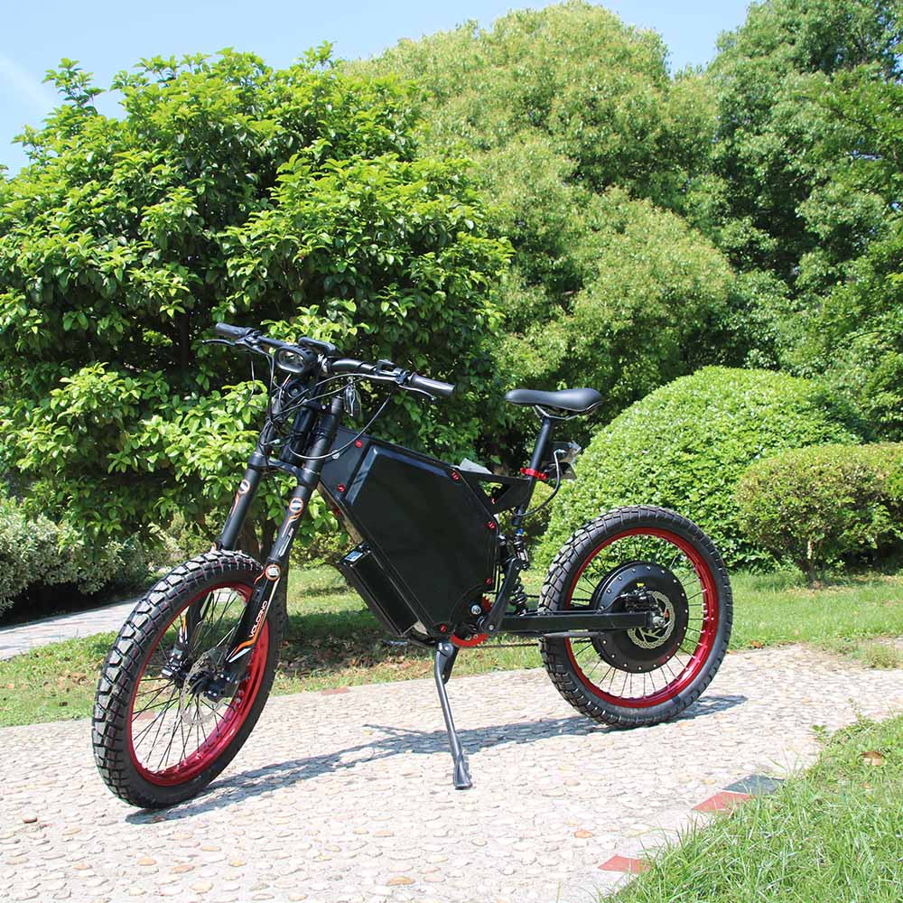 Hot selling powerful power electric bicycle