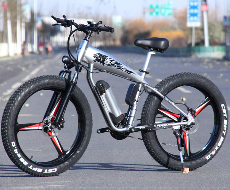 Popular custom-shaped fat tire bicycle