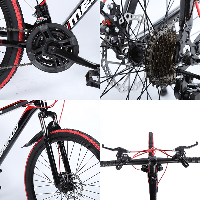 Variable speed high quality mountain bike